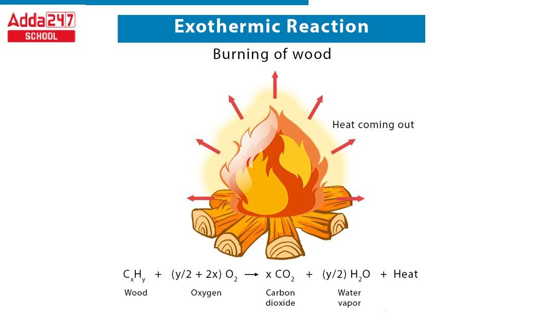 10 Real-Life Exothermic Reaction Examples You Should Know