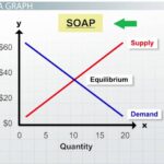 Examples of Inelastic Demand in Daily Life