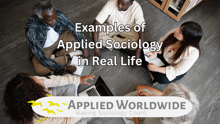 Applied Sociology Examples That Drive Change
