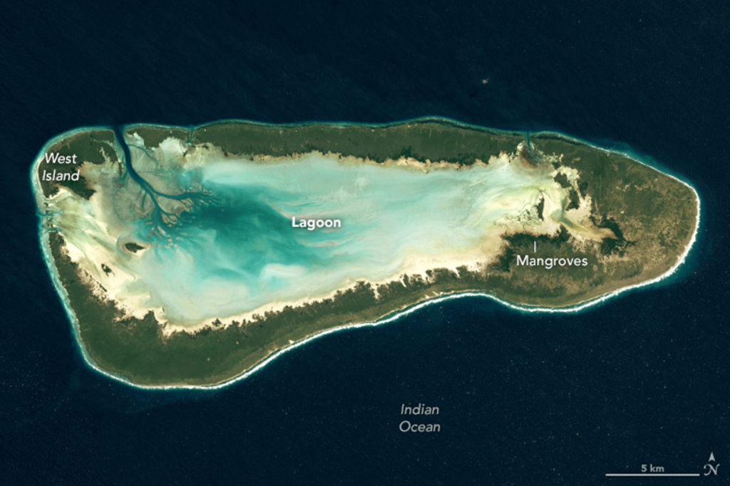 Atoll Examples and Their Ecological Importance