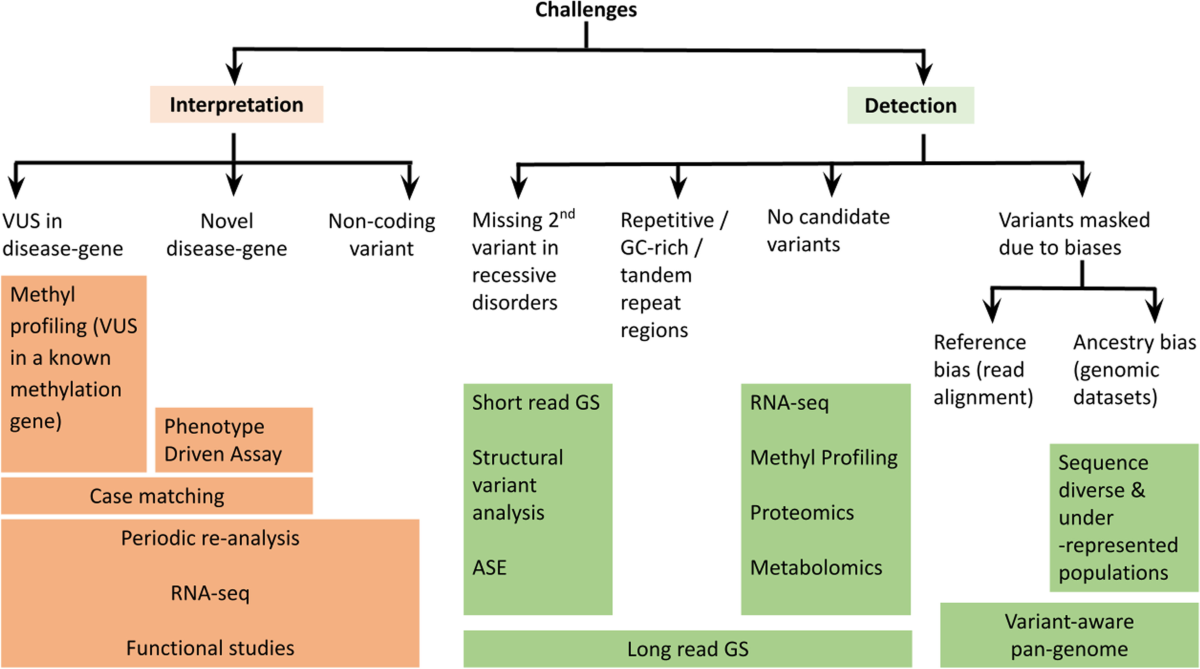 Comprehensive Genetic Disorders List: Common and Rare Conditions