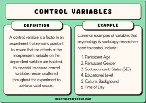 Constant Variables: Key Examples Explained