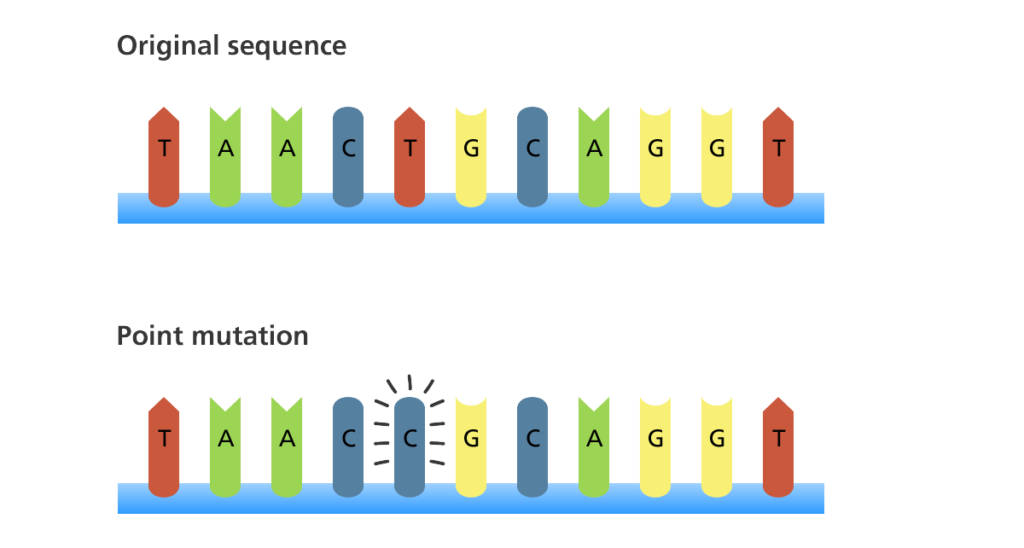 DNA Examples in Biology: Understanding Genetic Impact
