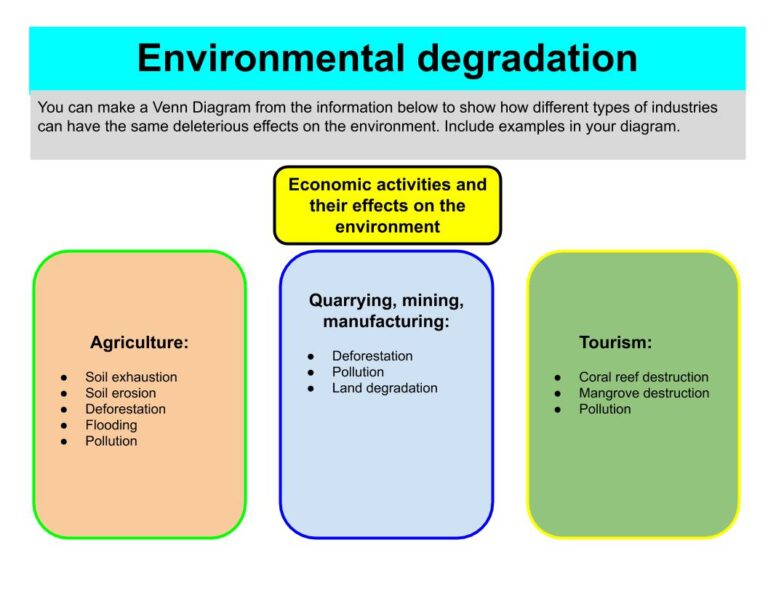 Environmental Degradation Examples You Should Know