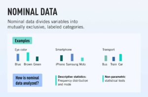 Example of Nominal Measurement You Should Know
