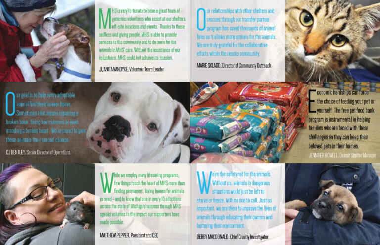 Examples of Animal Welfare: Making a Difference