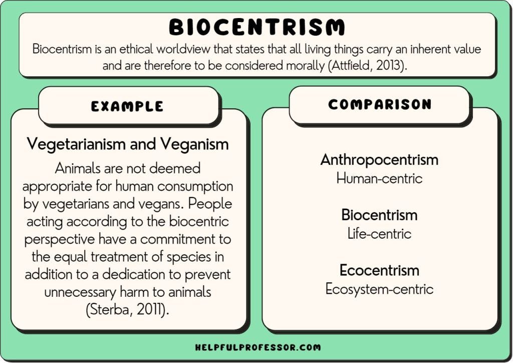 Examples of Anthropocentrism in Society