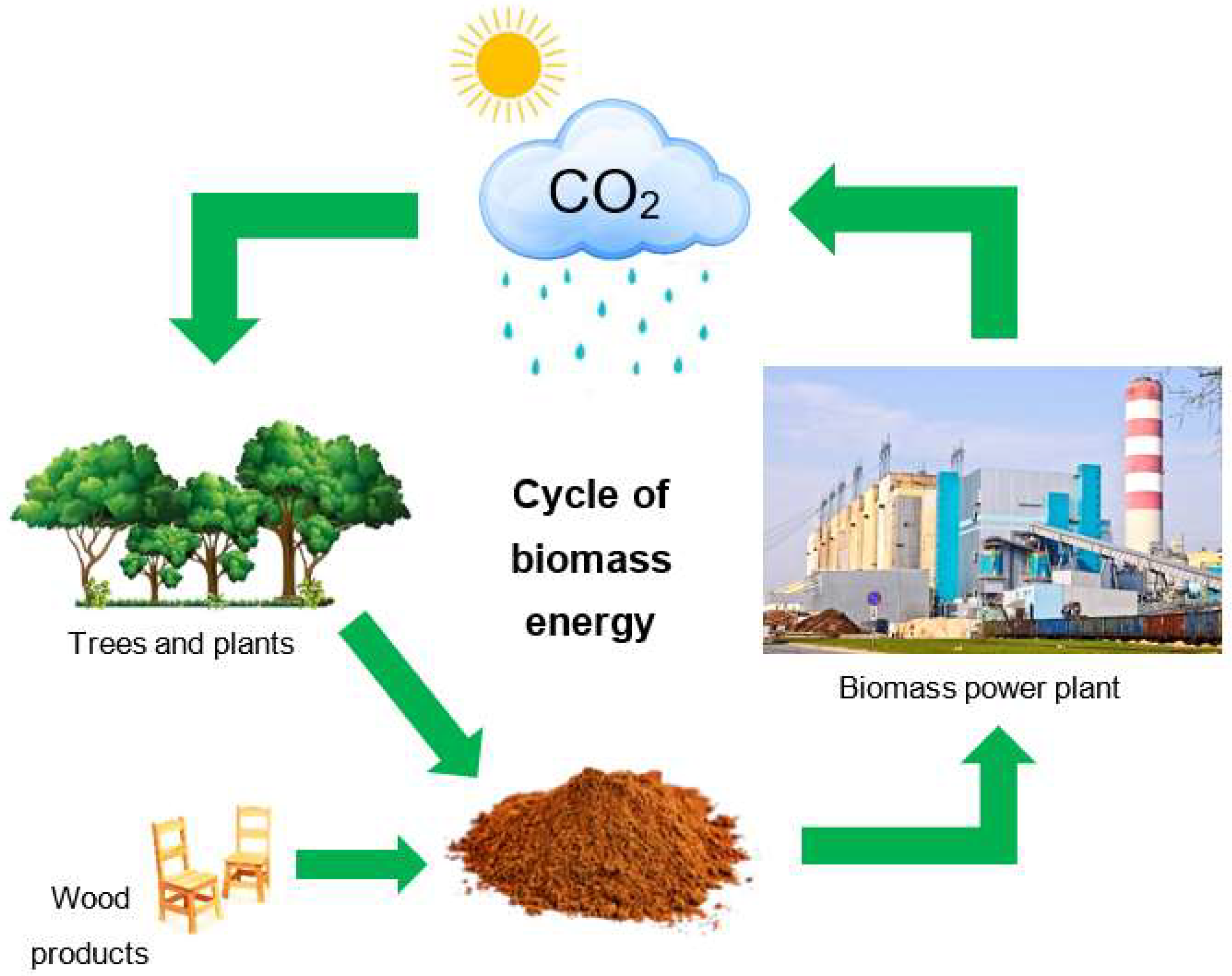 Examples Of Biomass As A Sustainable Energy Source