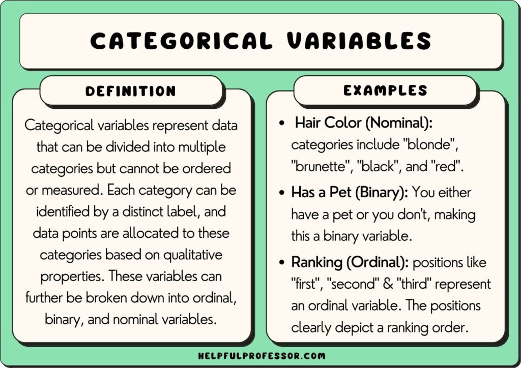 Examples of Categorical vs Quantitative Data Explained