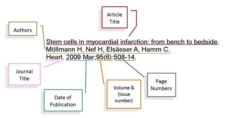 Examples of Citation Format for Academic Writing