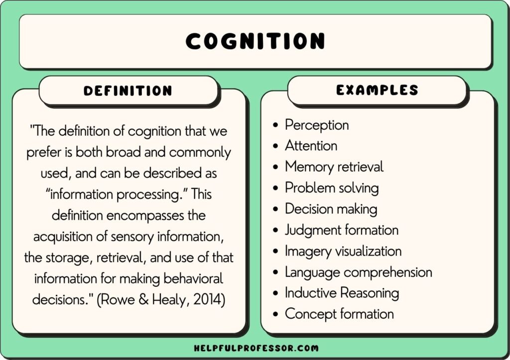 Examples of Cognitive Processes in Everyday Life