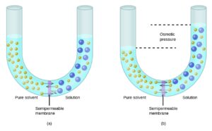 Examples of Colligative Properties in Action