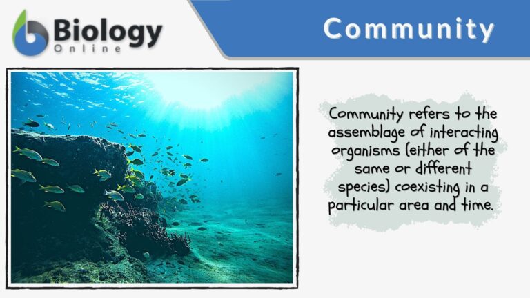 Examples of Community Biology in Ecosystems