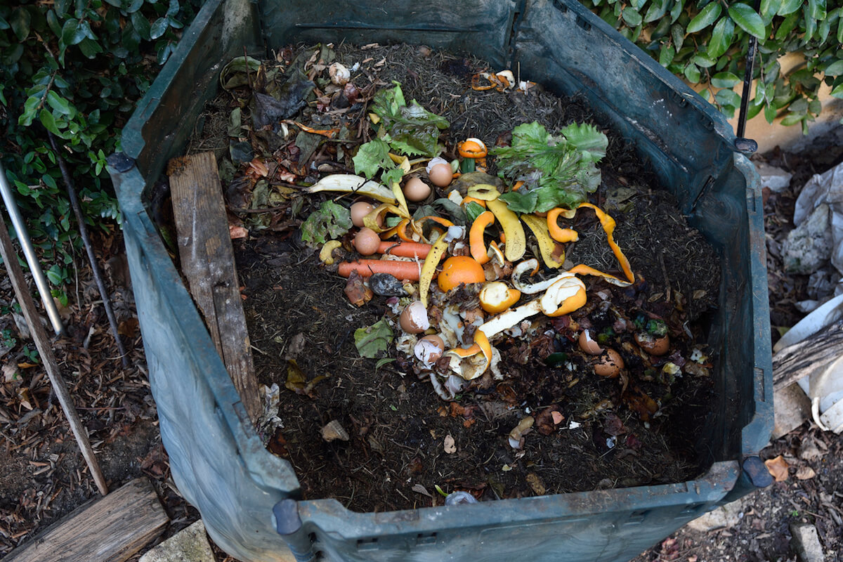 Examples of Composting for Sustainable Gardening