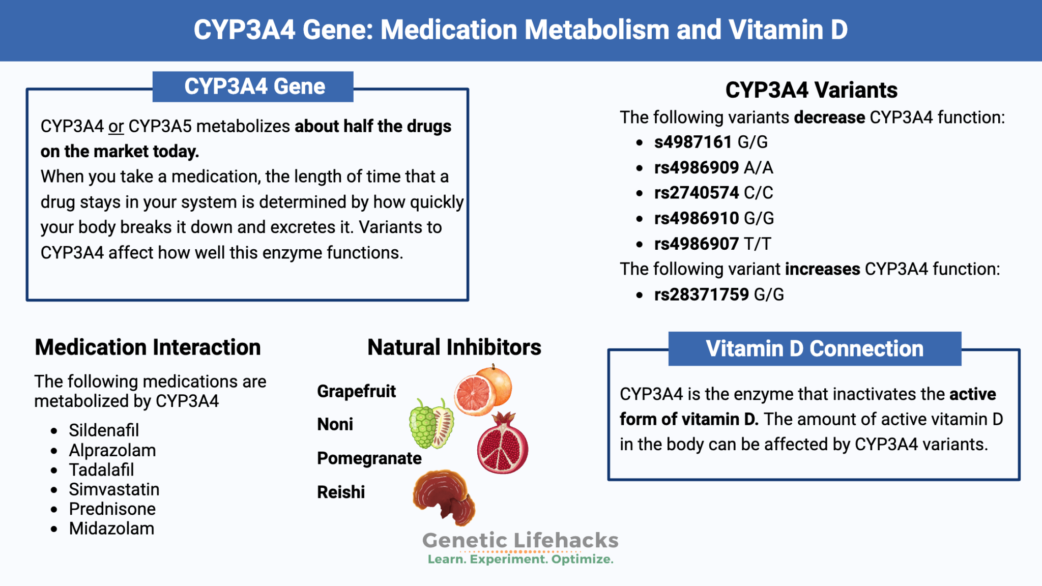 Examples Of Cyp3a4 Inhibitors And Their Effects