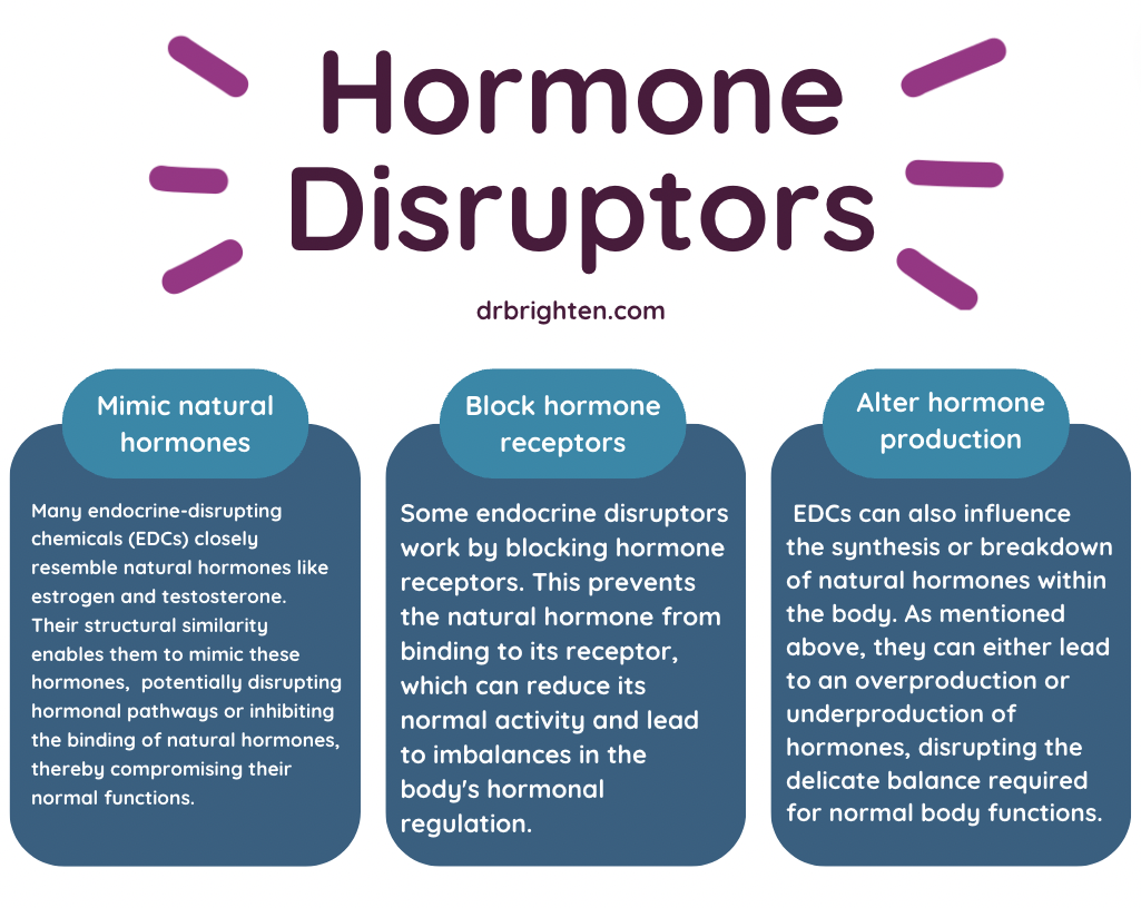 Examples of Endocrine Disruptors in Daily Life