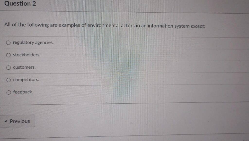 Examples of Environmental Actors in Information Systems
