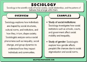 Examples of Example Sociology in Everyday Life