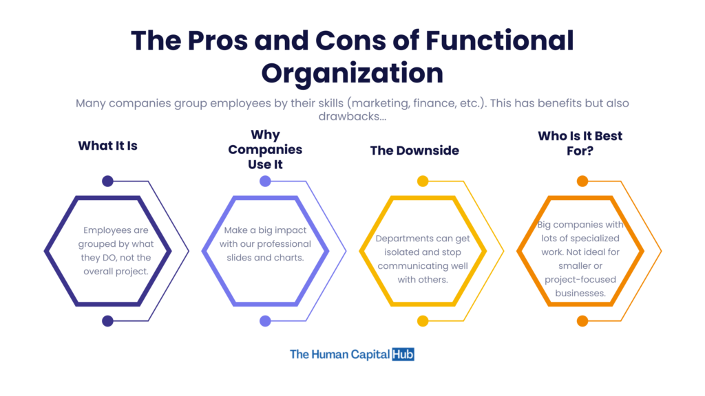 Examples of Functional Organizational Structure in Action