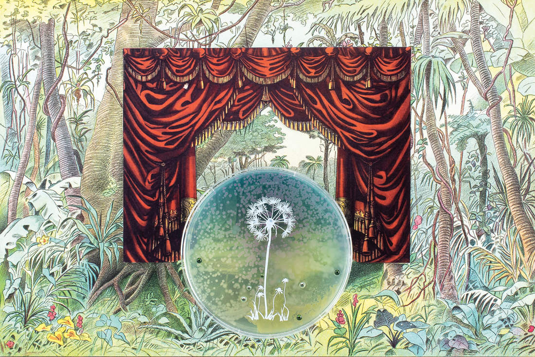 Examples of Genetics and Works of Art