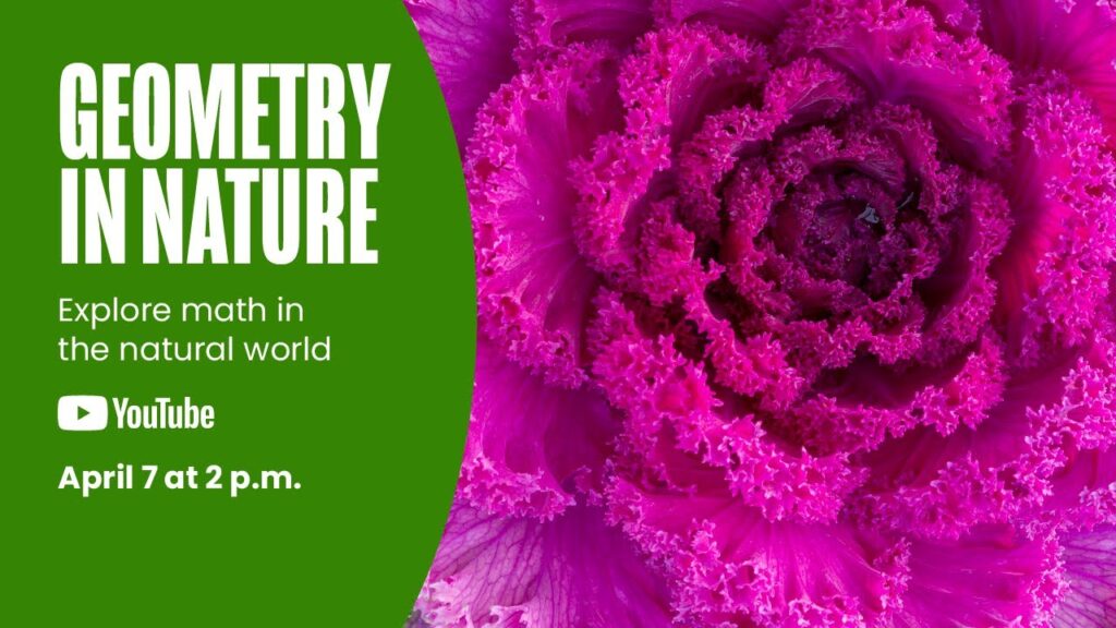 Examples of Geometry in Nature Unveiled