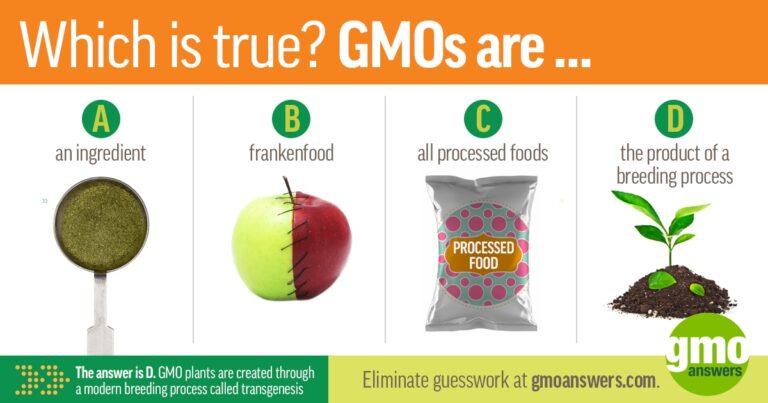 Examples of GMOs and Their Impact on Agriculture