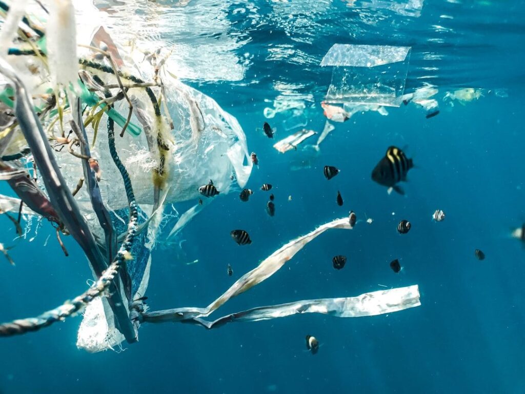 Examples of How Plastic Affects the Ocean Today