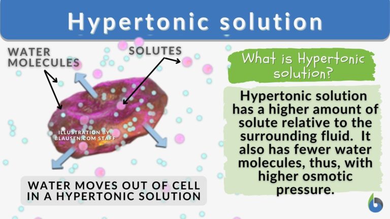 Examples of Hypertonic Solutions in Biology and Medicine