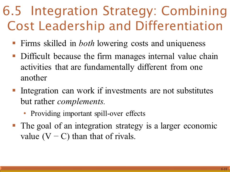 Examples of Integrated Cost Leadership/Differentiation Strategy