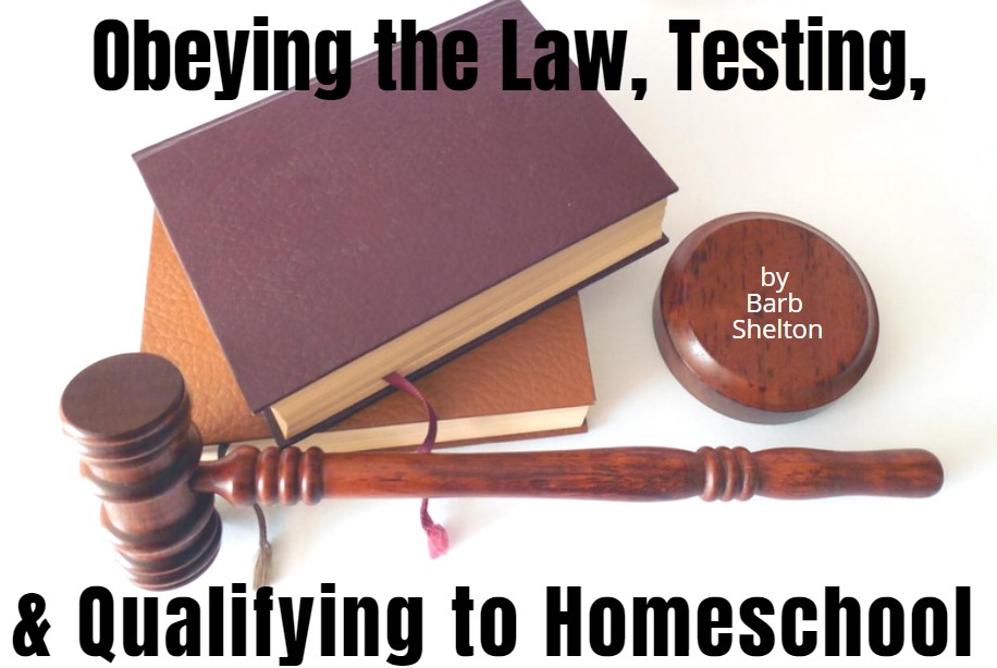 Examples of Obeying the Law in Everyday Life