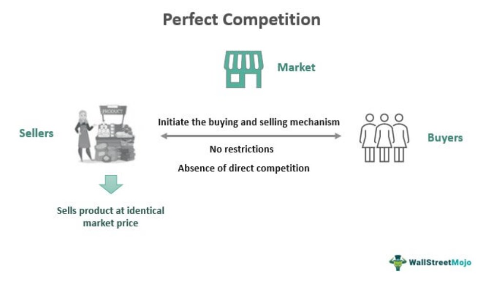 Examples of Perfectly Competitive Markets Explained