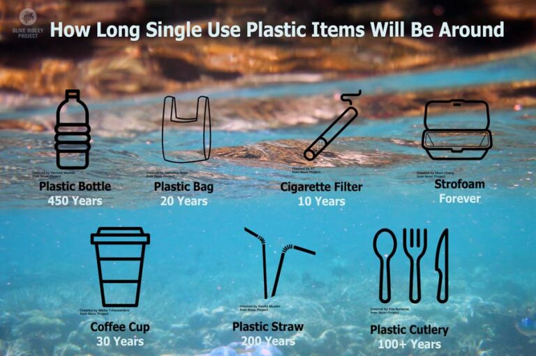Examples of Single Use Plastics and Their Impact