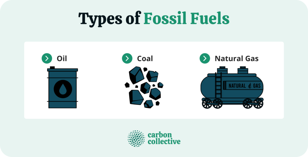 Fossil Fuels: Types, Uses, and Environmental Effects