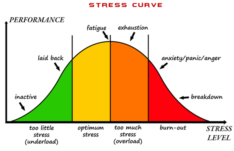 General Adaptation Syndrome Examples Explained