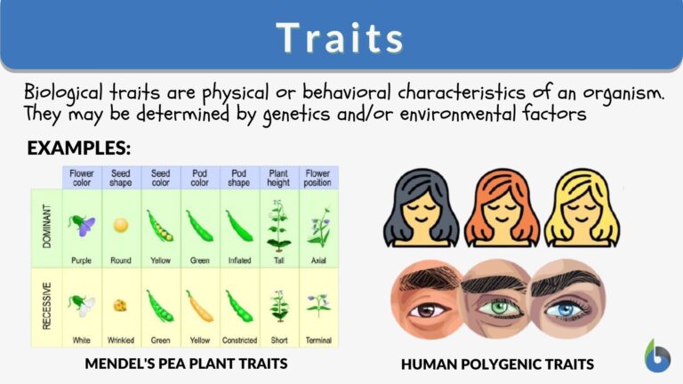 Genetic Traits Examples And Impact On Life 1801