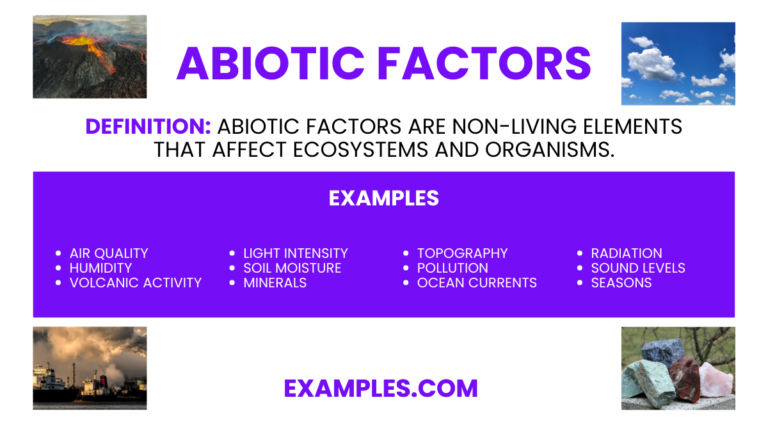 Habitat Non-Examples: Key Insights and Examples