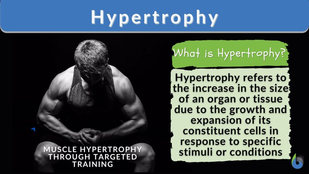 Hypertrophy Medical Term with Examples