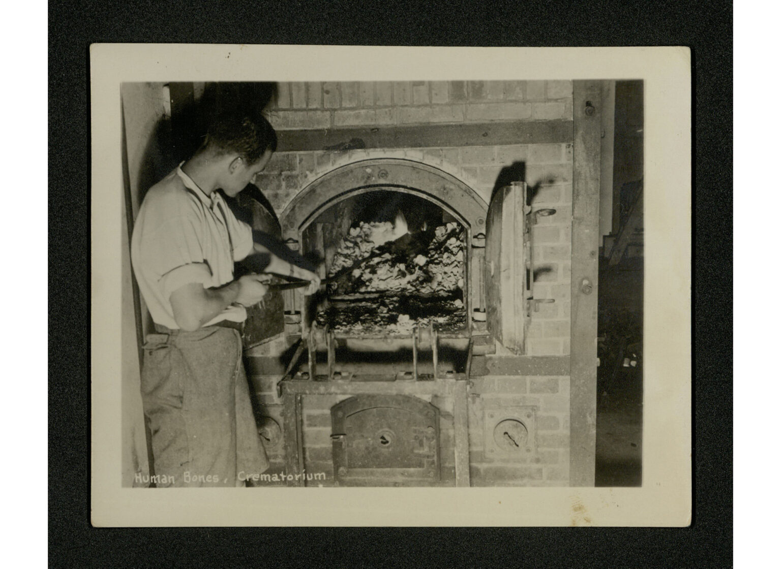 Shocking Examples of Human Cruelty Throughout History